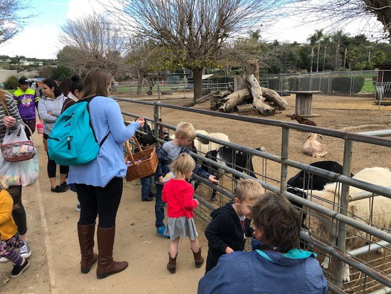 Education – Bates Nut Farm