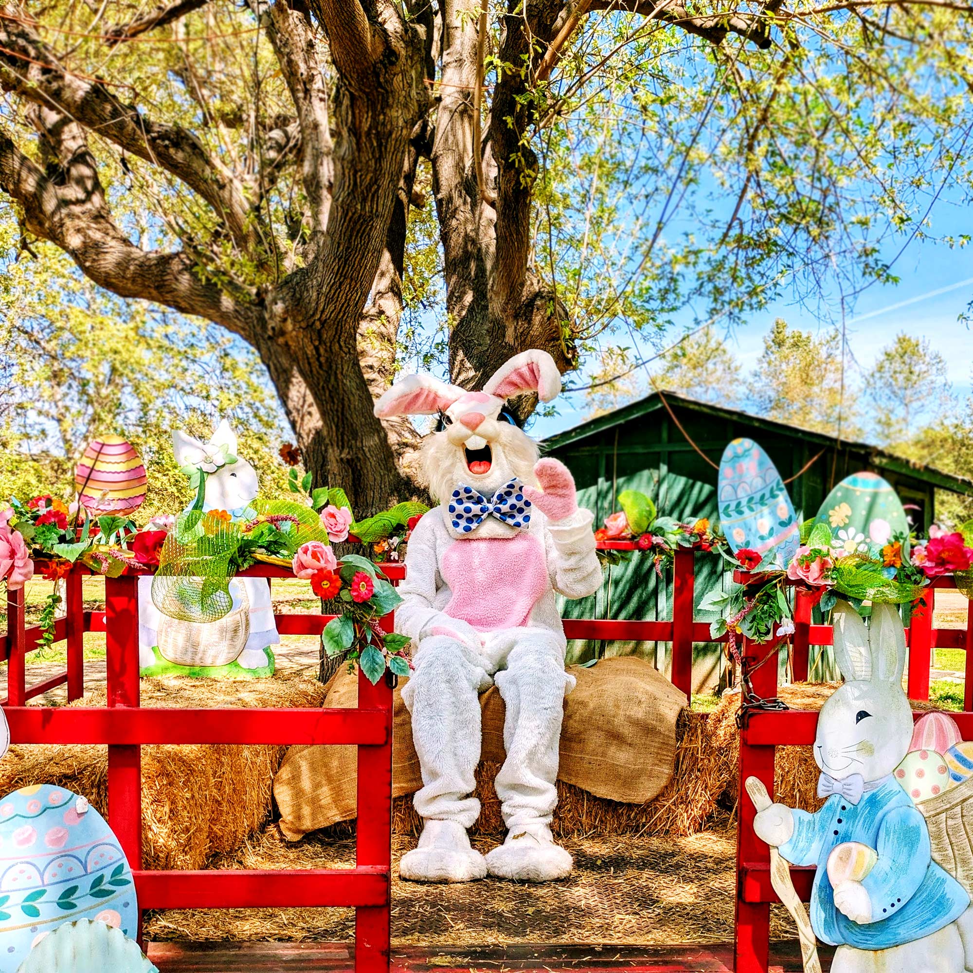 Discover Events At Our Farm | Bates Nut Farm