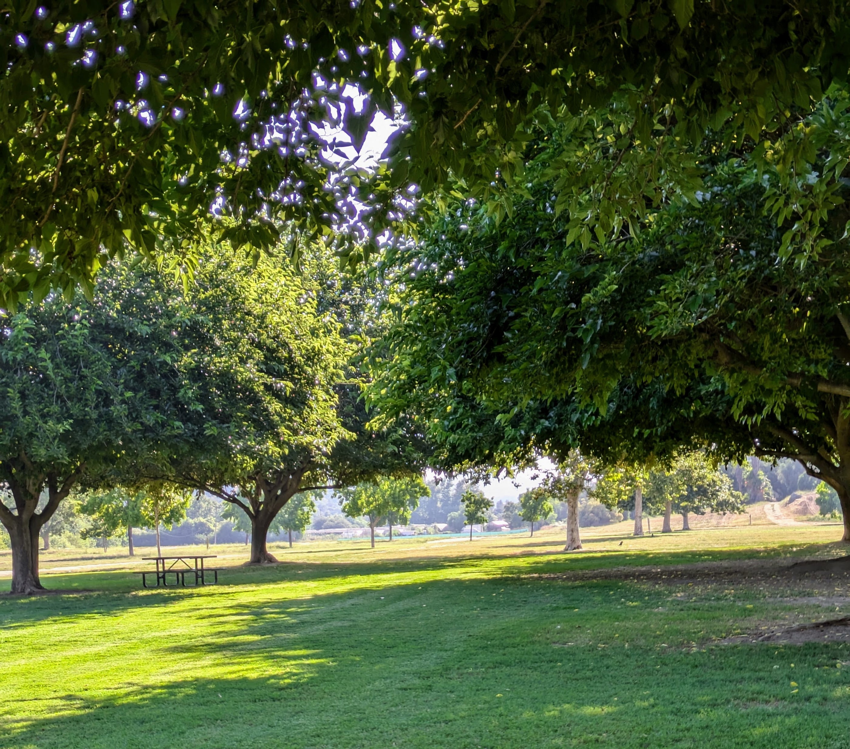 About – Bates Nut Farm