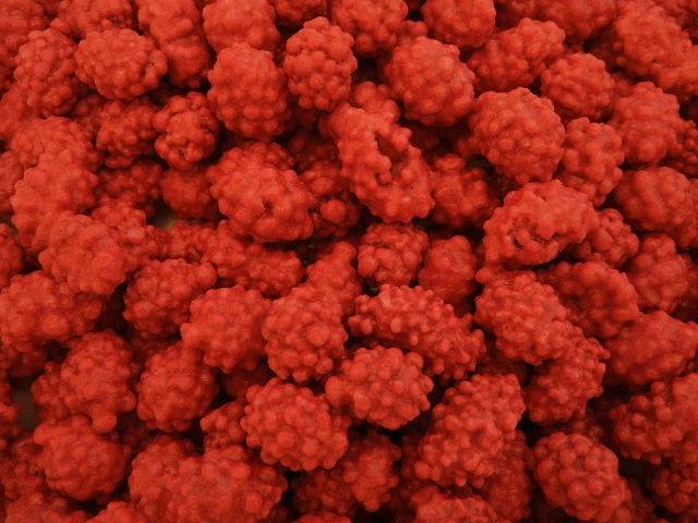 Burnt Peanuts 12 oz. – Bates Nut Farm