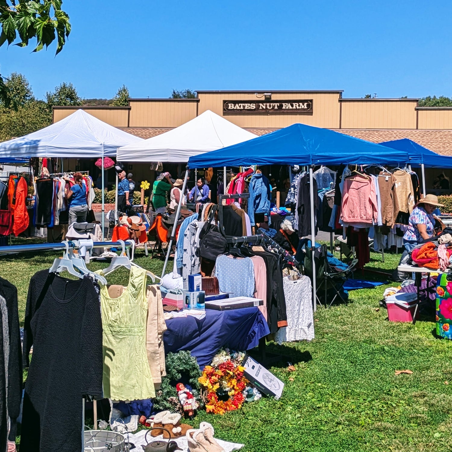 Discover Events At Our Farm | Bates Nut Farm