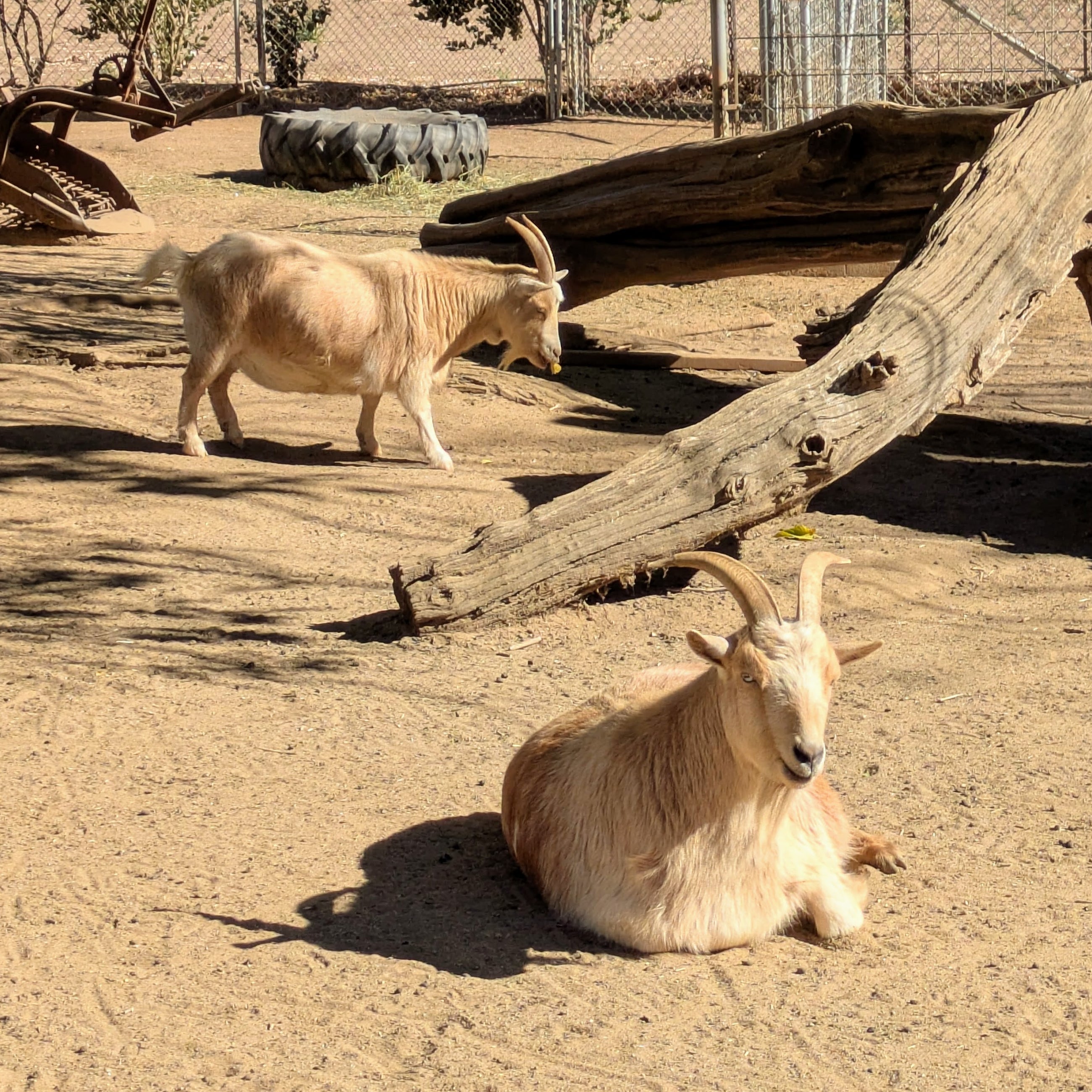 Discover Events At Our Farm | Bates Nut Farm