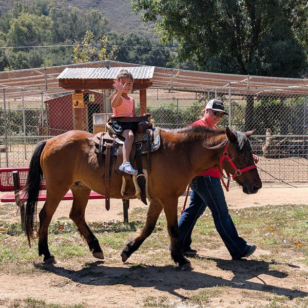 Discover Events At Our Farm | Bates Nut Farm