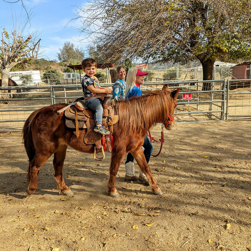 Discover Events At Our Farm | Bates Nut Farm