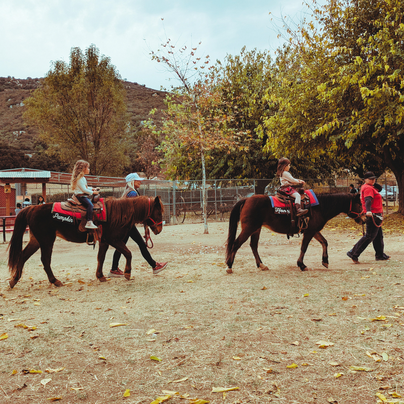 Discover Events At Our Farm | Bates Nut Farm